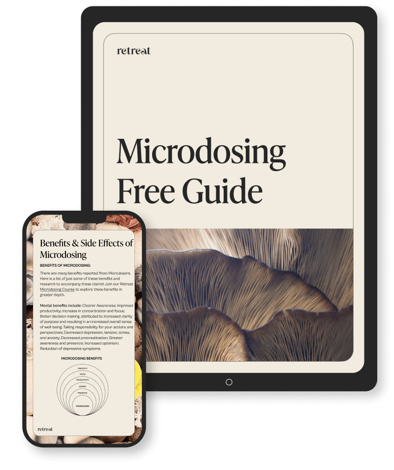 Microdosing Protocols: The Fadiman Protocol